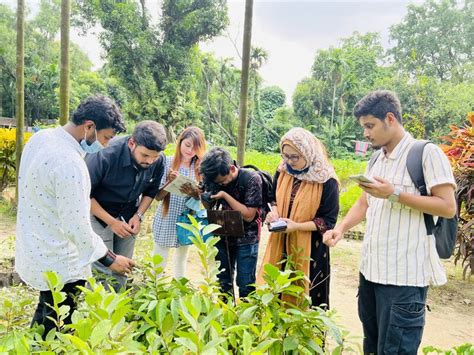 Anka Noor Saniya On Linkedin Artificialintelligence Technovation