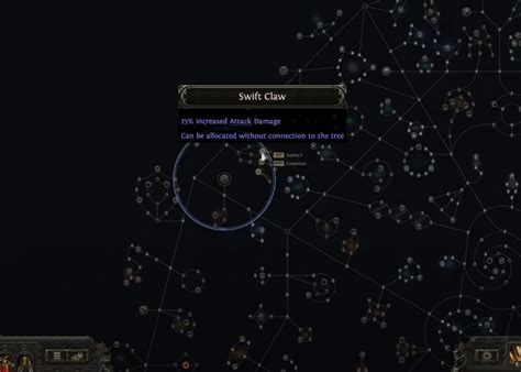 Path Of Exile Marauder Build Skill Tree