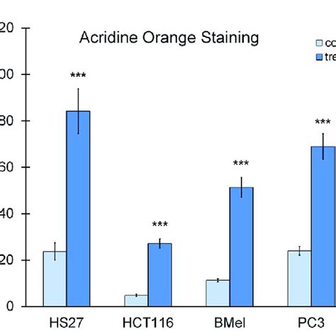 Quantification Of Red Fluorescence In The Bshe Untreated Control And
