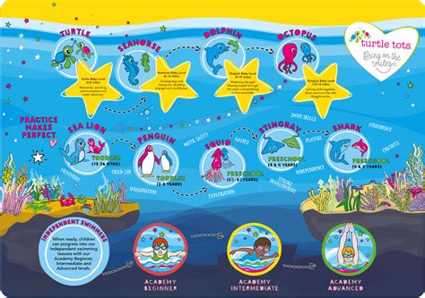 The Turtle Tots Journey Turtle Tots Uk