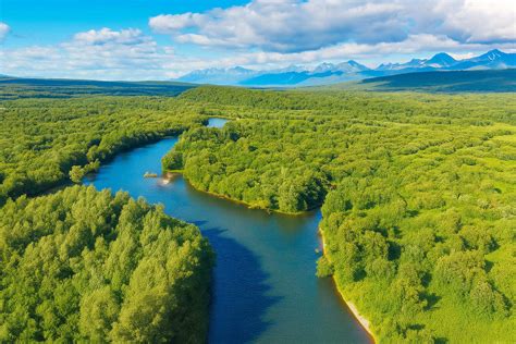 Реки Камчатки богатство природы и рыболовный рай