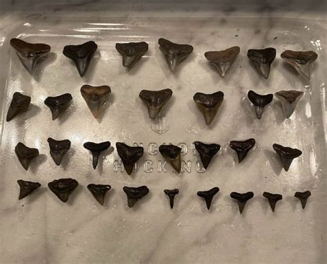 Maes Beach Cameron Parish Tourism