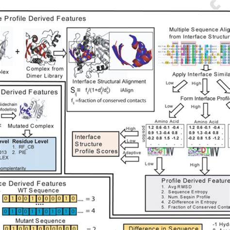 Multiscale Approach To Predicting Protein Binding Affinity Using Download Scientific Diagram