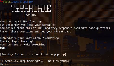 Pwn101 Tryhackme Ctf Write Up Vvelitkn