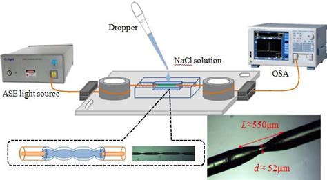 Figure 1 From Fiber Optic Refractive Index Sensor Based On Multi