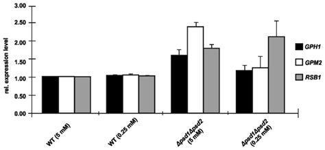 Relative Gene Expression Of Gph1 Gpm2 And Rsb1 Was Measured By Qrt Pcr