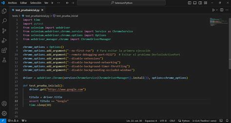 Selenium Webdriver When The Chrome Browser Opens I Dont See The Website Im Testing Stack