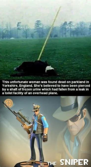 Sydney Sleeper Meme By Electman Memedroid