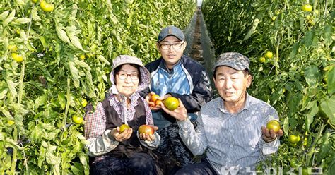 가족농 열전 백년농부 3대째 가업으로 이어온 농사 ‘명품 가족 덕 유명농장 일궈