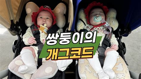 쌍둥이 육아 Vlog Ep 15 쌍둥이의 개그코드 Youtube