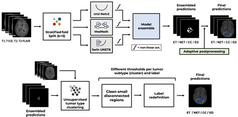 논문 리뷰 Magnetic Resonance Imaging Feature Based Subtyping And Model Ensemble For Enhanced Brain