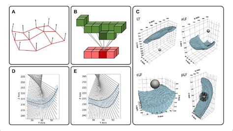Schematic Visualizations Of The Methods For Automated Cartilage