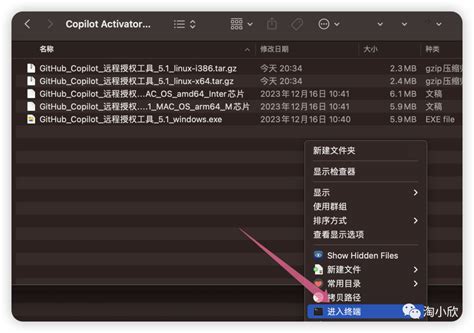 无需账号，手把手教你激活github copliot，支持gpt 4！ py学习