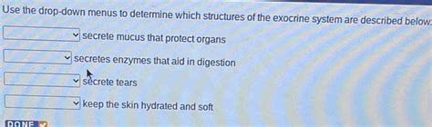 Solved Use The Drop Down Menus To Determine Which Structures Of The