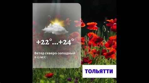 Доброе субботнее утро Выходные наступили но теплом нас радовать не планируют Температура