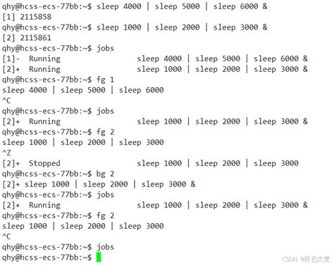 进程间关系与进程守护 Csdn博客