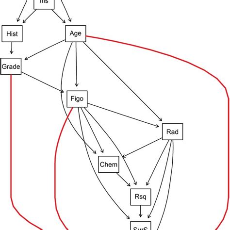 Structure Of The Bayesian Network Bn Prediction Model Nodes Race