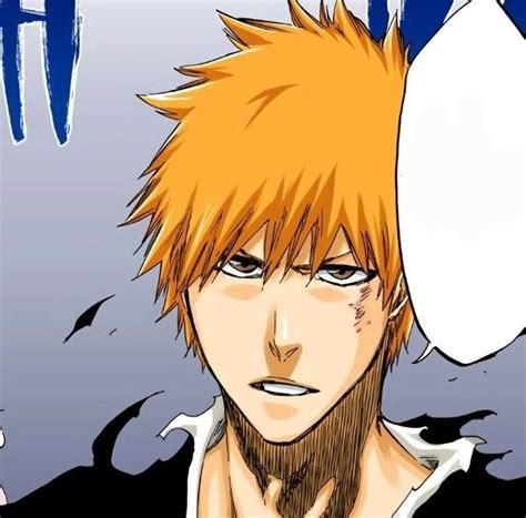 Kurosaki Ichigo 黒崎 一護