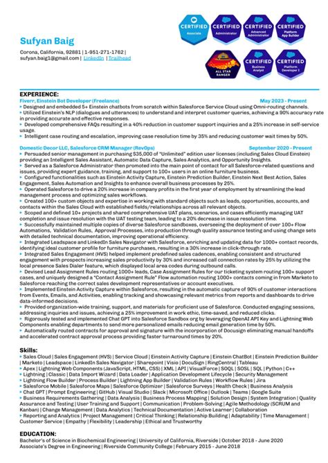 Create Your Salesforce Resume By Sufyanxbaig Fiverr