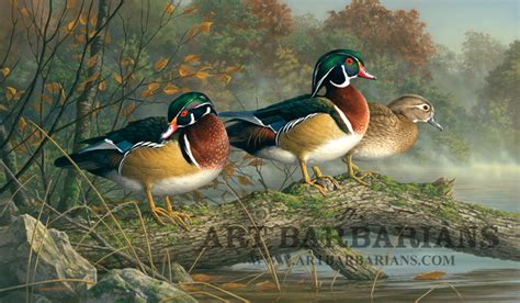 Wildlife Art Prints Plus Original Paintings With A Wide Selection From