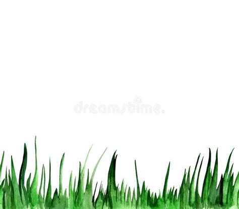 Watercolor Hand Painted Seamless Border With Sketch Of Green Grass