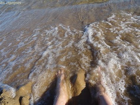 Pamela Anderson Blowjob