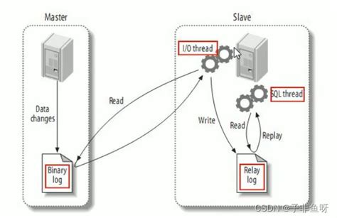 Mysql优化 如何搭建mysql的主从关系和mycat中间件mysql 主从辅助中间件 Csdn博客 Mysql优化 如何搭建mysql的主从关系和mycat中间件mysql 主从辅助中间件 Csdn博客