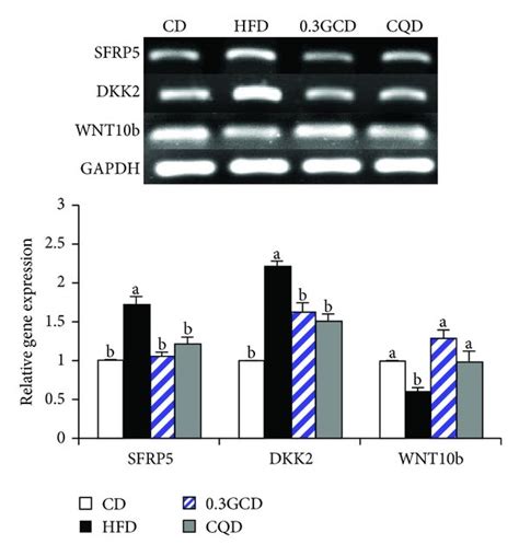 Effects Of Green Coffee Bean Extract And 5 Cqa Supplementation On Genes Download Scientific