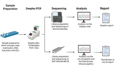 Amplicon Sequencing Using The Long Read Sequencing Technologies