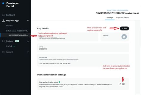 How To Create A Twitter Application Revivepress