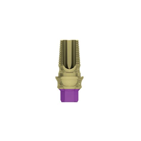 Ez Base Abutment Seven Caspidentaz