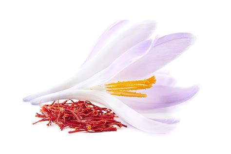Premium Photo | Sanfor flower
