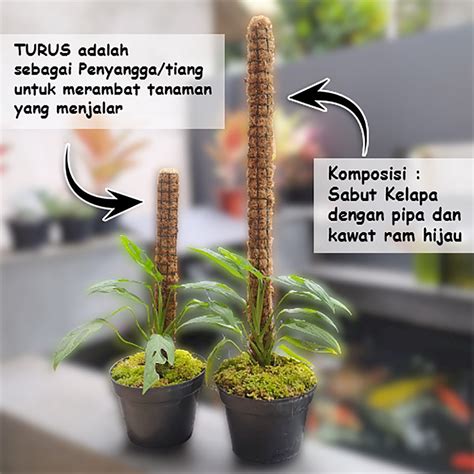 Jual Turus Penyangga Tanaman Turus Tanaman Kawat Ram 40 Cm Shopee Indonesia