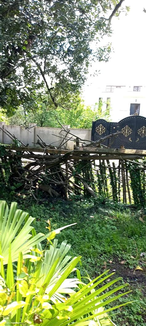 Guria News Guria News Added A New Photo