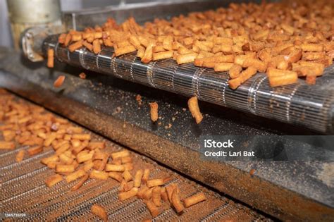 크래커를 만드는 과정 크래커 생산 컨베이어에 크루통 컨베이어 라인 식품 공장 또는 장비가있는 공장에서 빵 제품 건조한에 대한 스톡 사진 및 기타 이미지 Istock