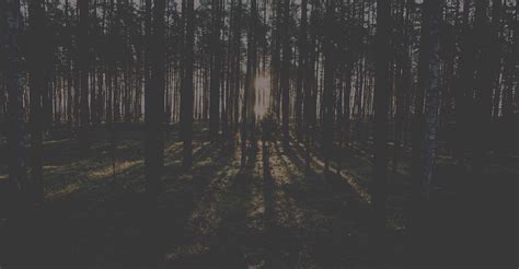 Rt Quic Testing Cwdfacts Org