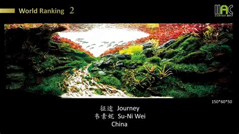 Победители Iiac 2017 Пикабу