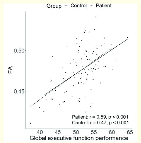 Correlation Between Executive Function Scores And White Matter
