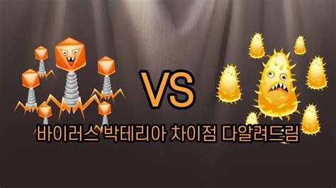 과학 박테리아세균와 바이러스의 차이점 치료방법도 번식도 다르다 Youtube