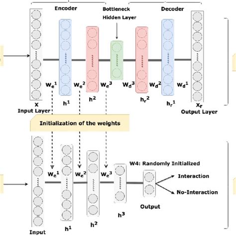 The Proposed Drug Semi Supervised Model Top The Stacked Autoencoders Download Scientific
