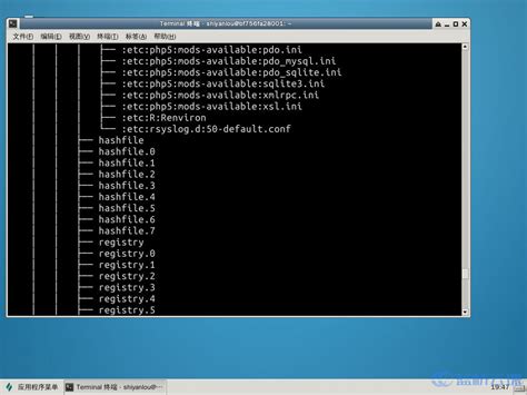 Linux 目录结构及文件基本操作 蓝桥云课
