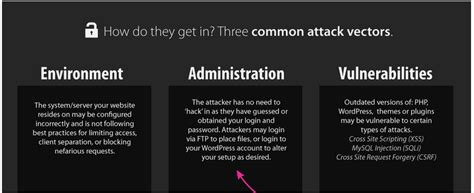 Wordpress Security An Infographic On Common Malware And Attacks Pagely®