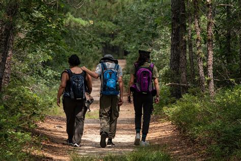 Hiking Essentials For Beginners — Runstreet