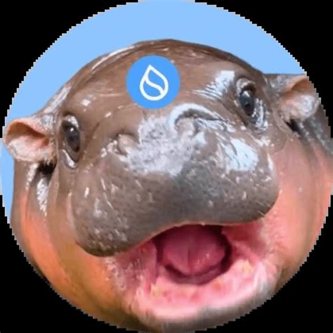 Sudeng Hippo Price Today Real Time Market Trend And Analysis Coinex