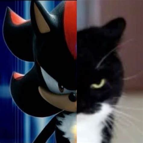 Down Bad 🥰🥰🥴🥴😫😫😧😧 Sonic And Shadow Shadow Theme Marceline And Bubblegum