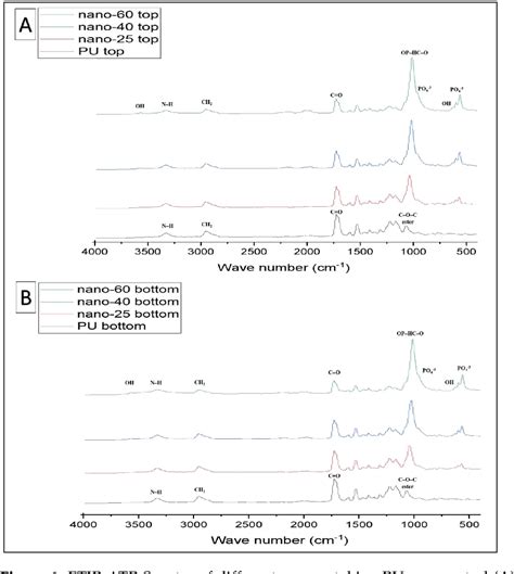 Figure 6 From Bioactive Composite For Orbital Floor Repair And Regeneration Semantic Scholar