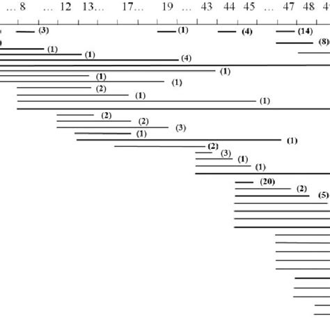Grading For Brooke And Vignos Scales Download Scientific Diagram