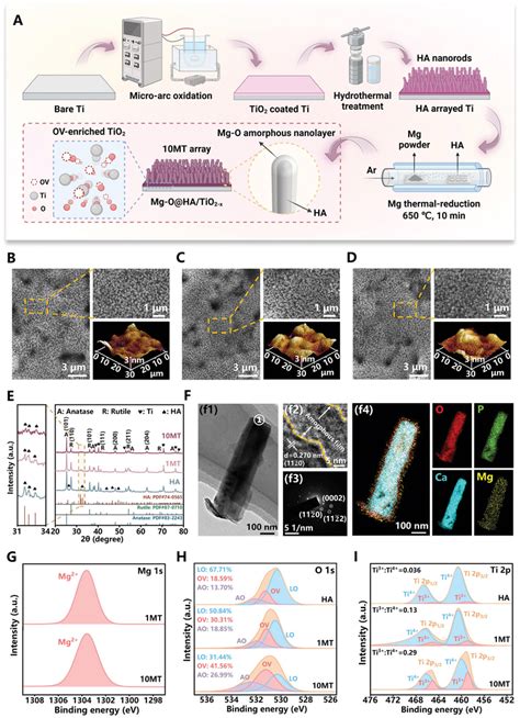 Structural Characterization Of The Nanorod Arrays A Schematic Download Scientific Diagram