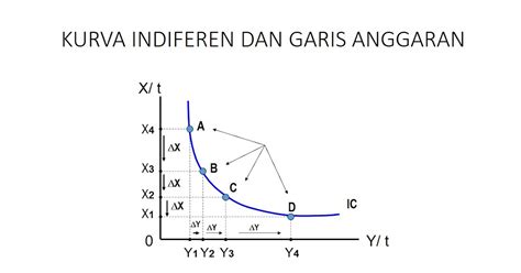 Indiference Curve And Budget Line