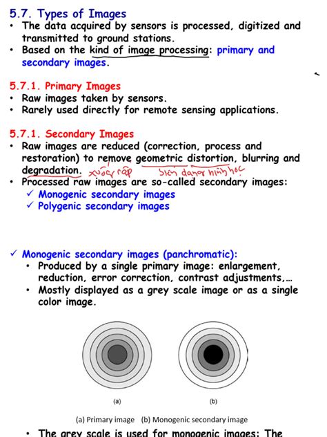 Lecture 11 Pdf Geographic Information System Remote Sensing